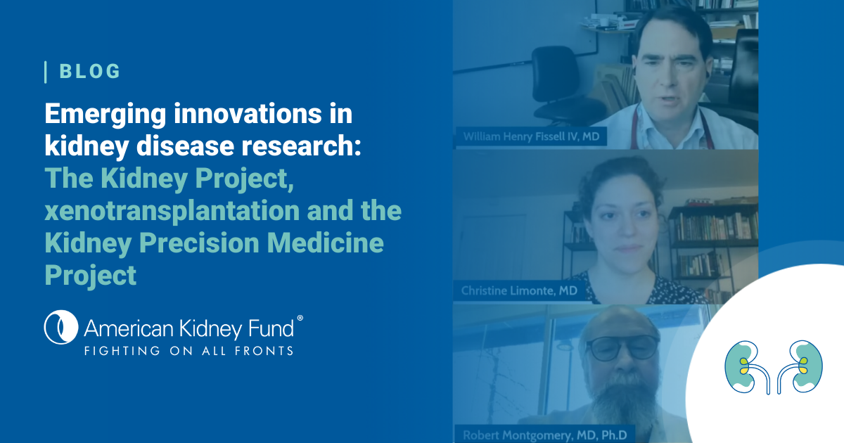Emerging innovations in kidney disease research: The Kidney Project, xenotransplantation and the ...
